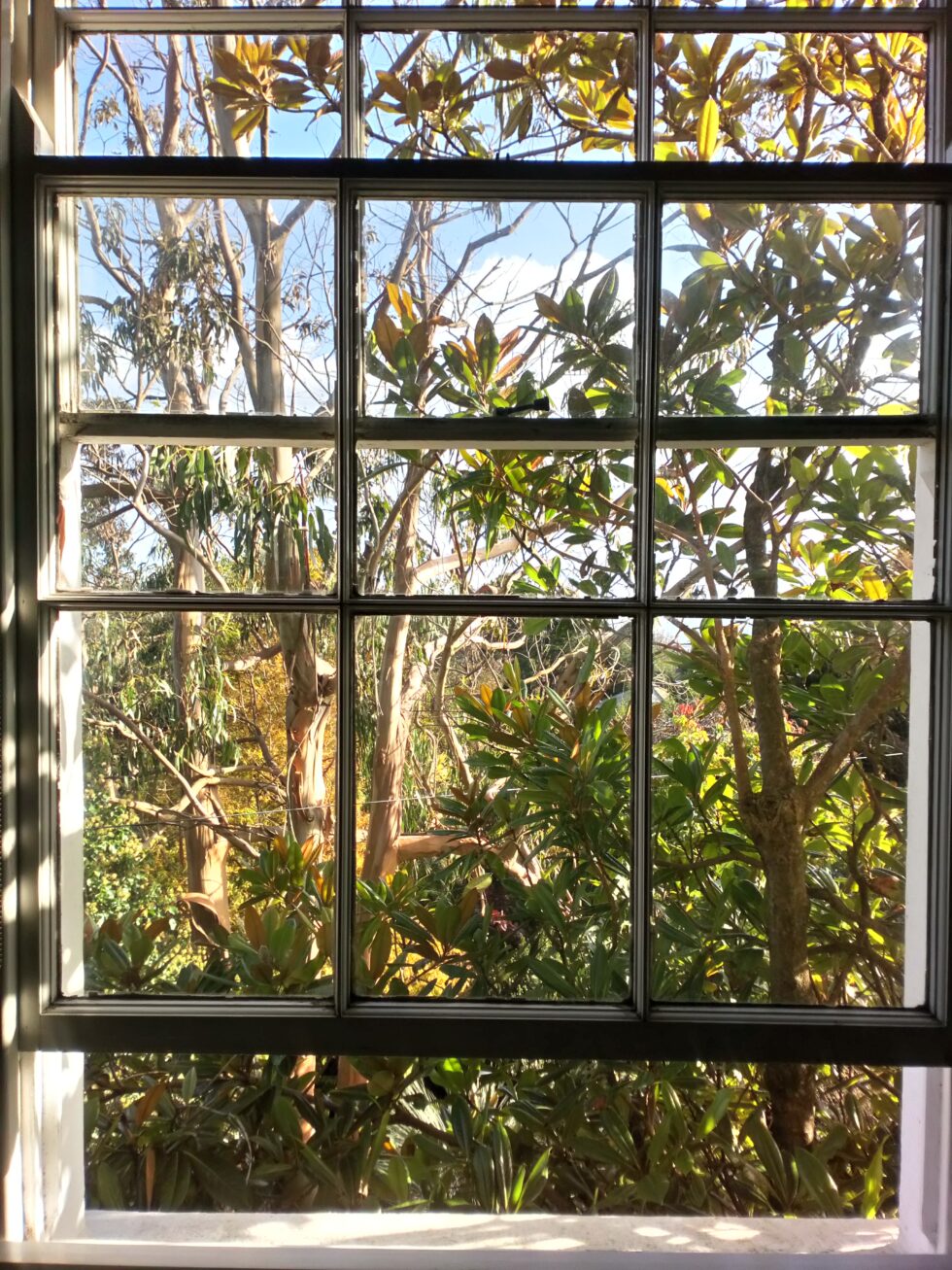 Gallery – The Morrab Library